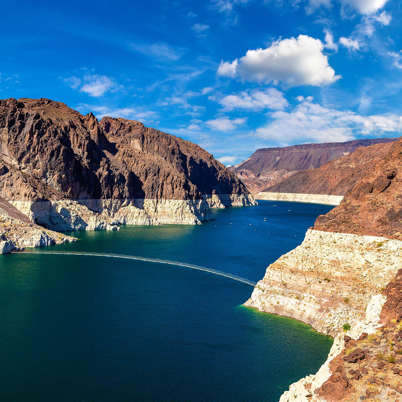 Environmental Impact Blueprints